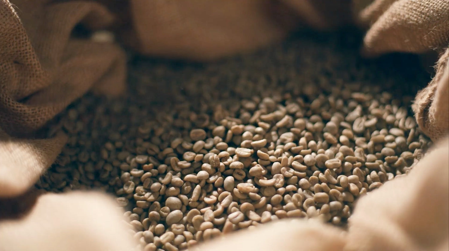 What Is Specialty Coffee? A Guide to 80+ Scoring Beans, Grading, and ...
